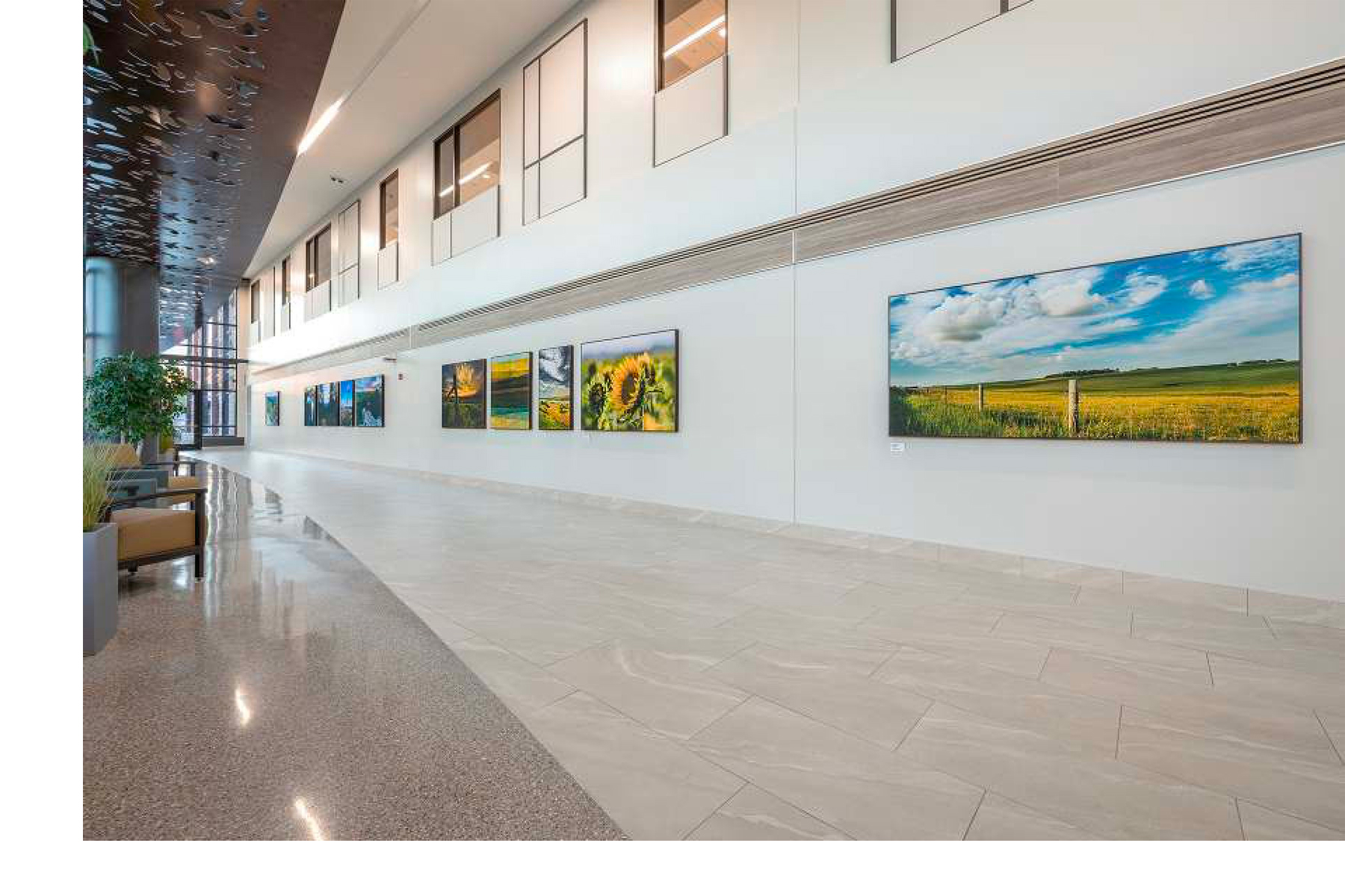 EDAC Advocate Firm Project Profile